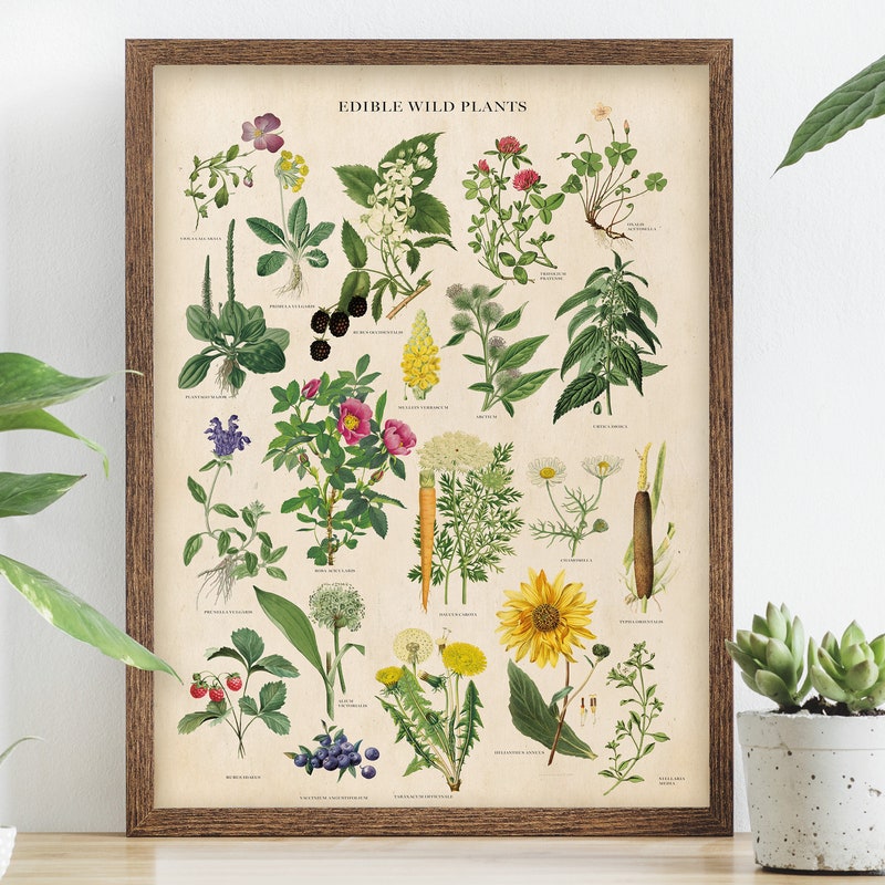 Plant Poster - Etsy