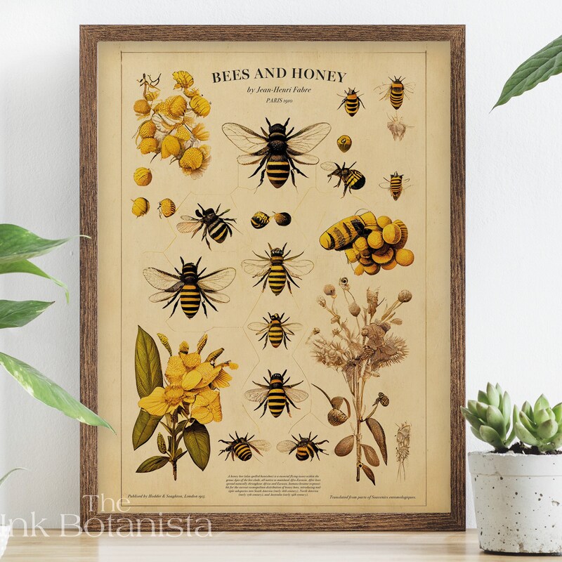 Honey Bee Art - Etsy