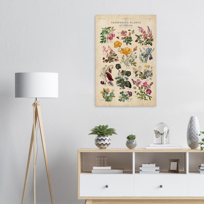 Flowering Plants of California, Vintage Botanical Chart Poster - Etsy