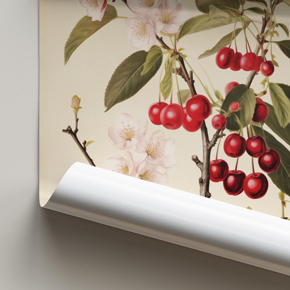 Vintage Cherry Print, Botanical Poster for Kitchen - Etsy