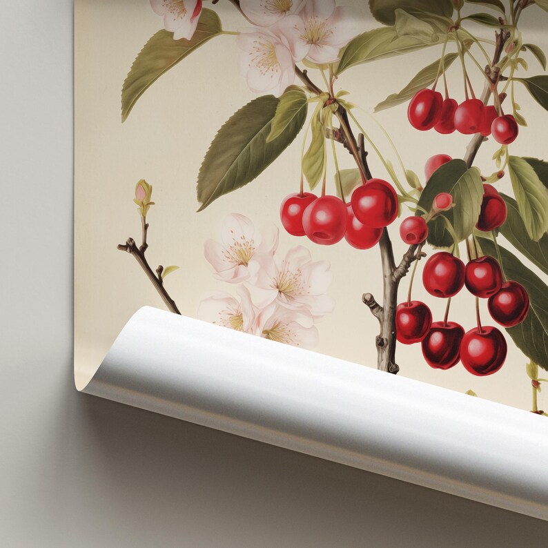 Vintage Cherry Print, Botanical Poster for Kitchen - Etsy