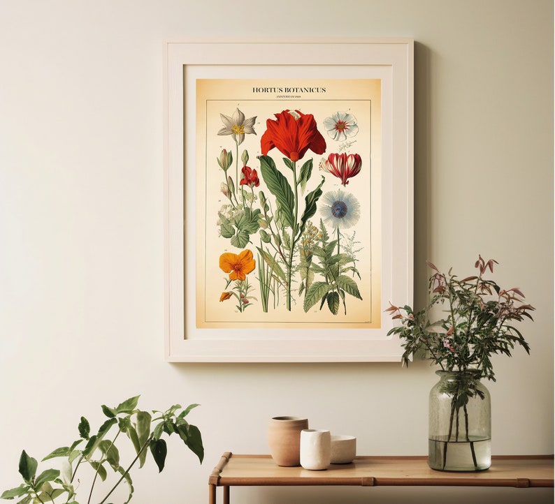 Amsterdam Botanical Print, Vintage Plant Chart, City Botanic Garden ...