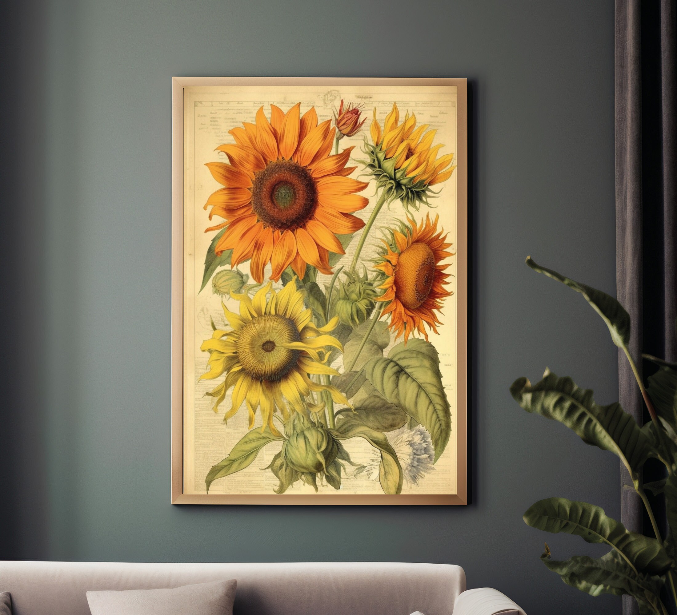 Vintage Sunflower Chart Print Old Botanical Poster Yellow - Etsy