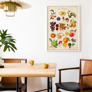 Fruits of America Vintage Botanical Chart Print - Native American ...