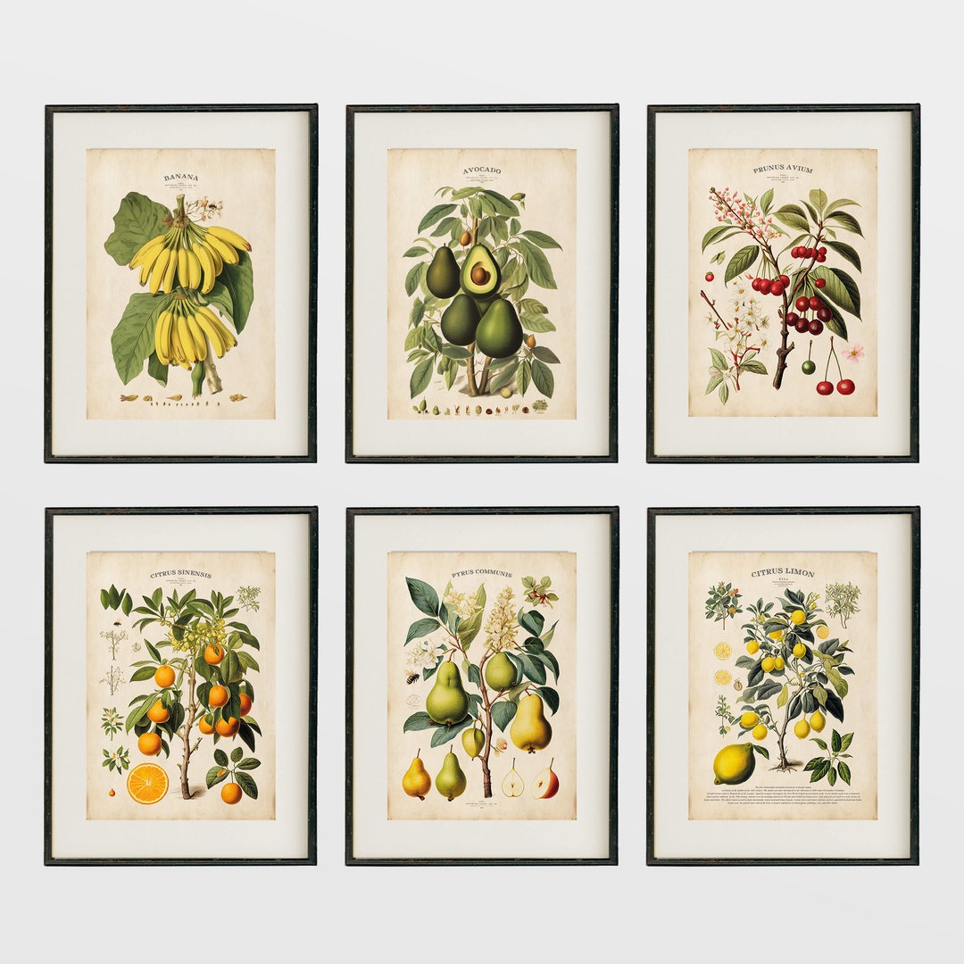 Kitchen Art Print, Botanical Art Posters, Home Decor, Kitchen Plant ...