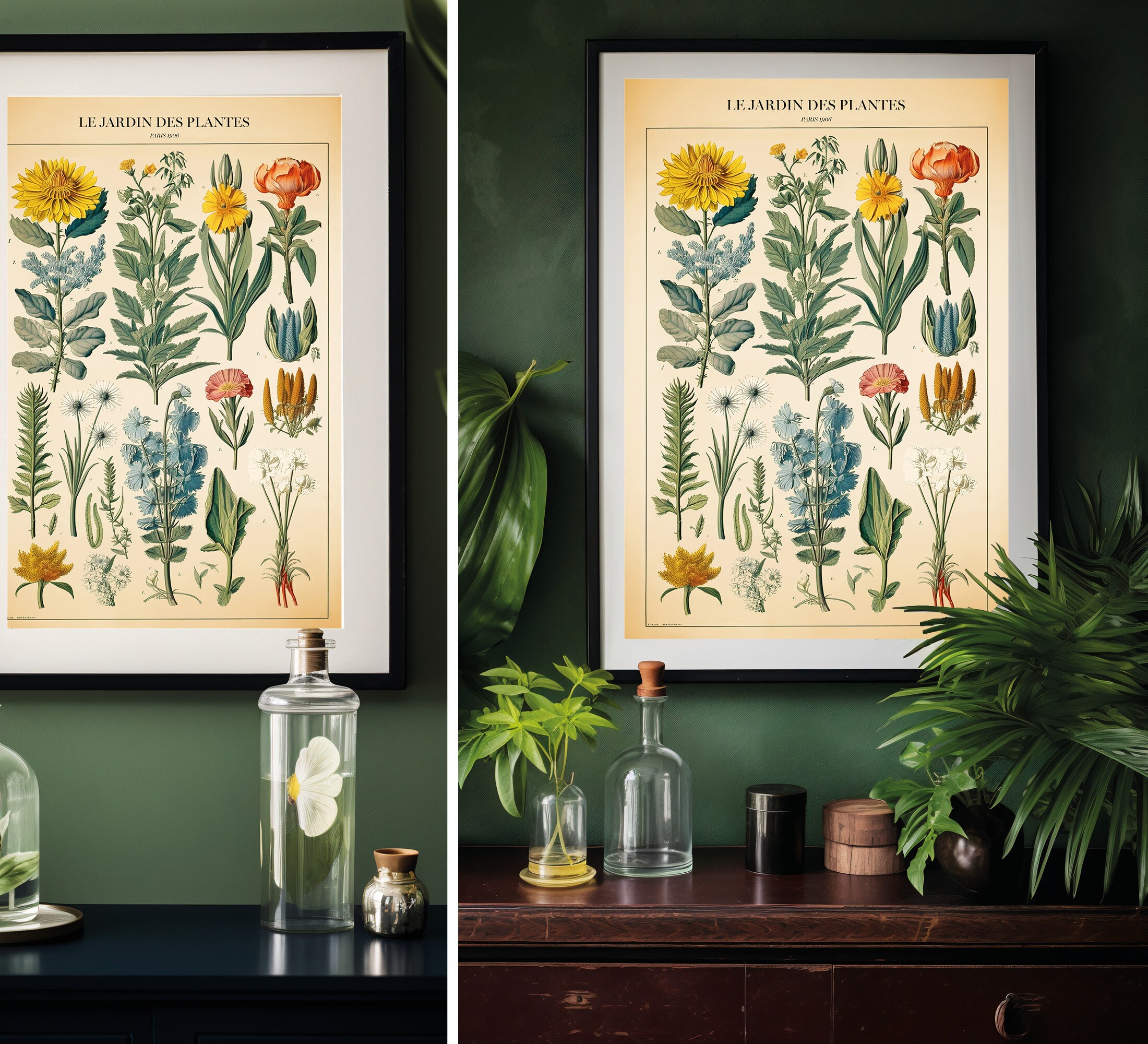 Vintage Plants Chart Print, Kitchen Chart Poster, Botanical Book Plate ...