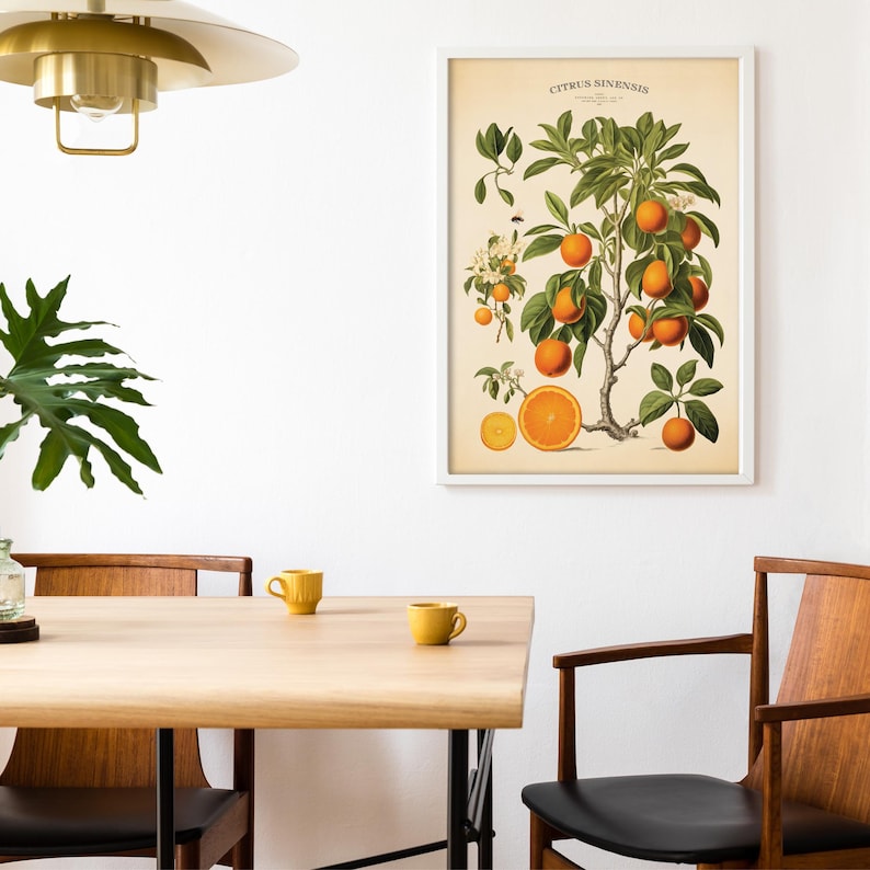Vintage Orange Tree Print: Botanical Citrus Illustration, Farmhouse ...