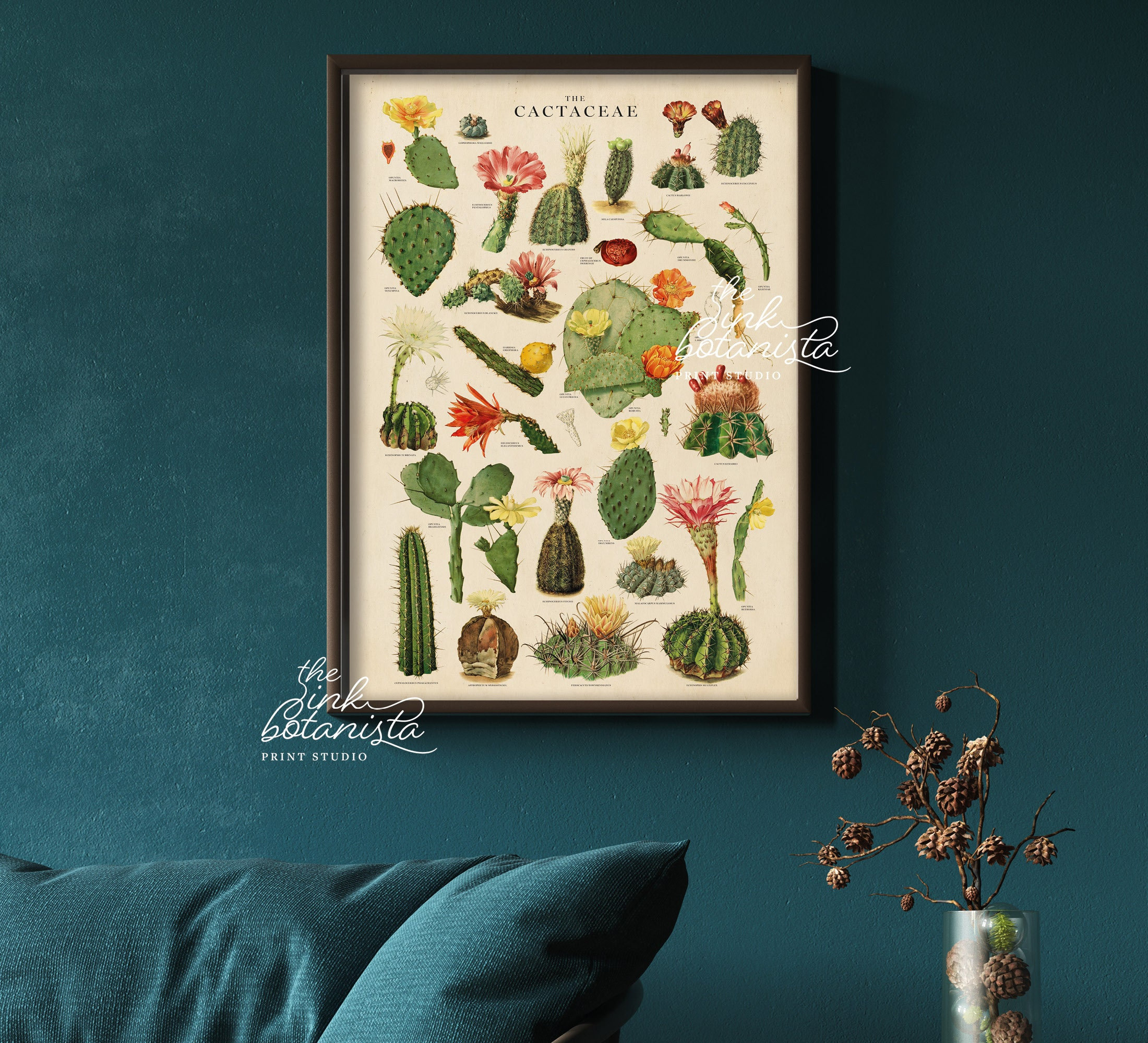 Vintage Cactus Print, Cacti Poster, Botanical Poster, Succulent Wall ...