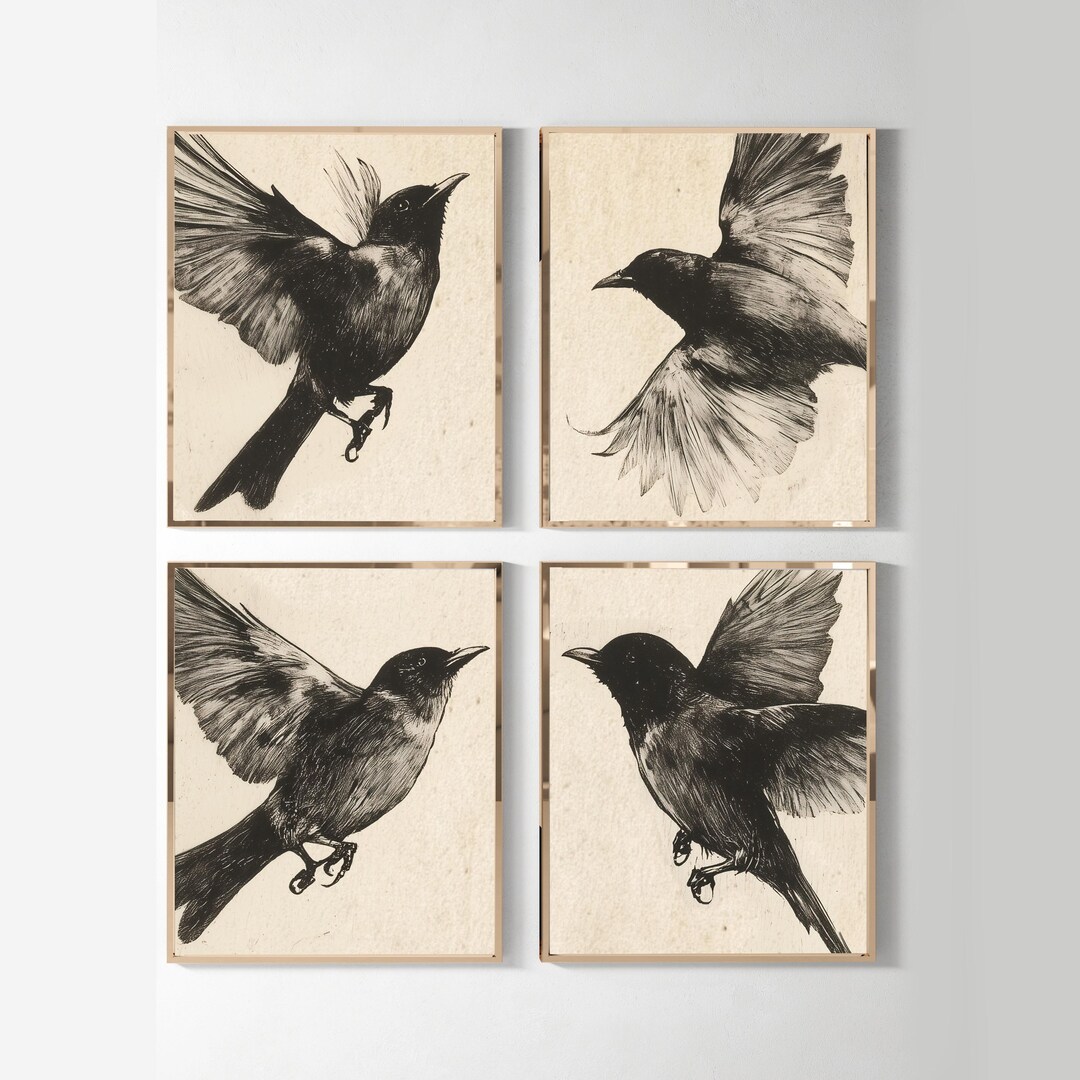 Vintage Bird Print, Old Etching Print, Ornithology Illustration ...