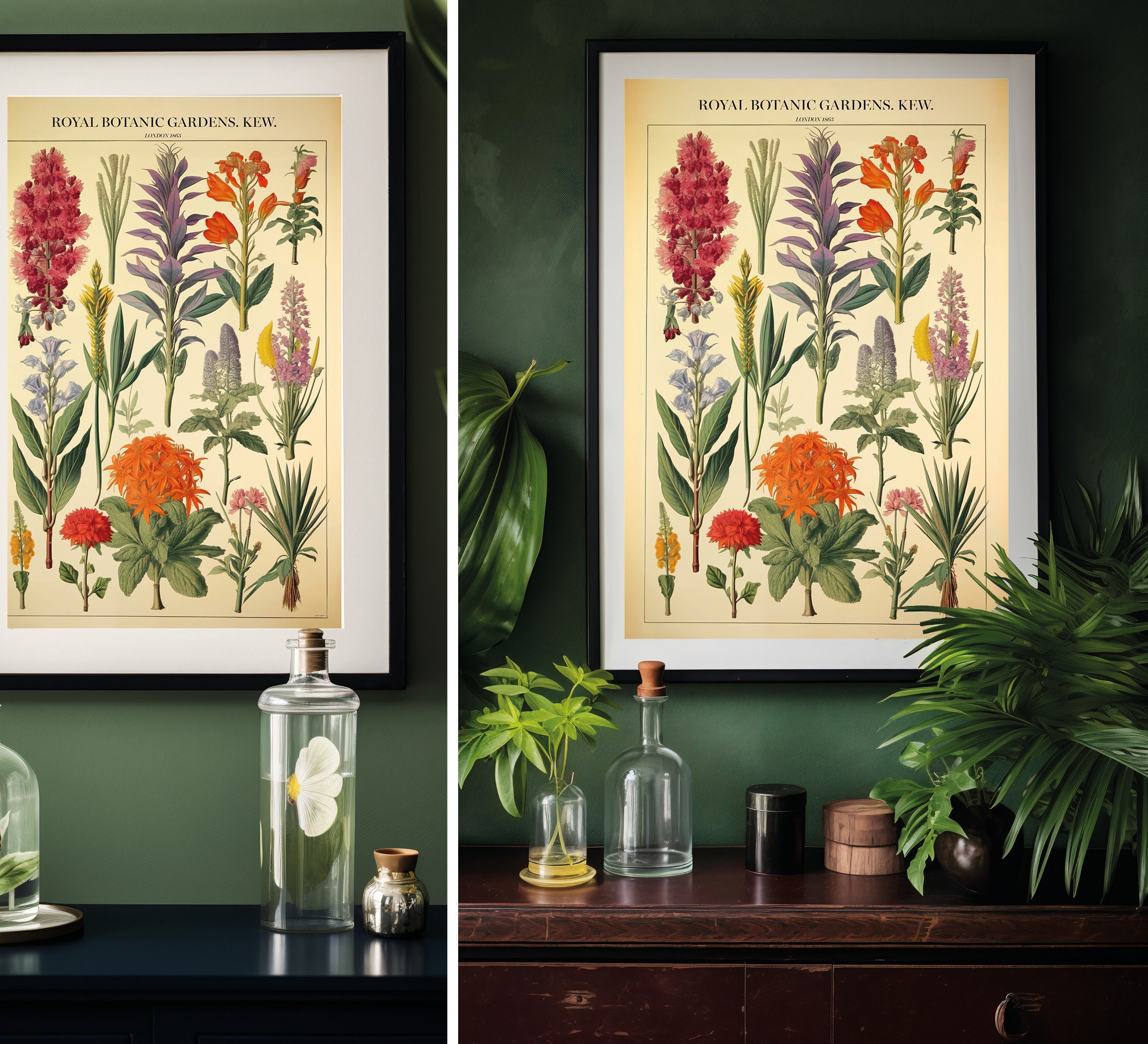 Vintage Plants Chart Print, Kitchen Chart Poster, Botanical Book Plate ...