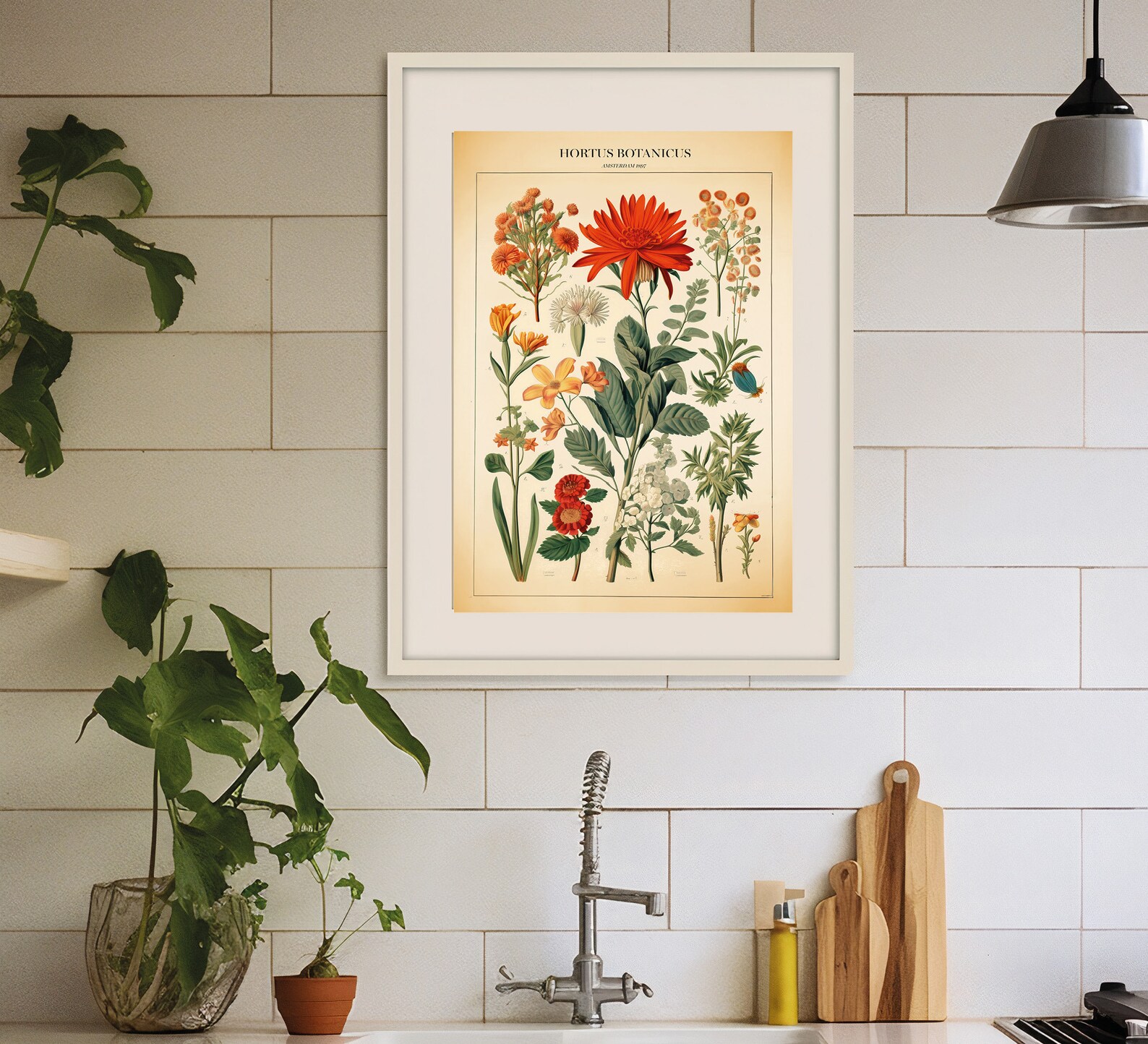 Vintage Botanical Print: Amsterdam Plant Chart Poster - Etsy