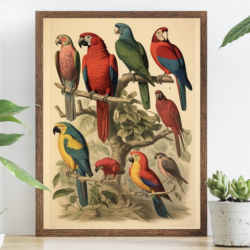 Parrot Poster - Etsy