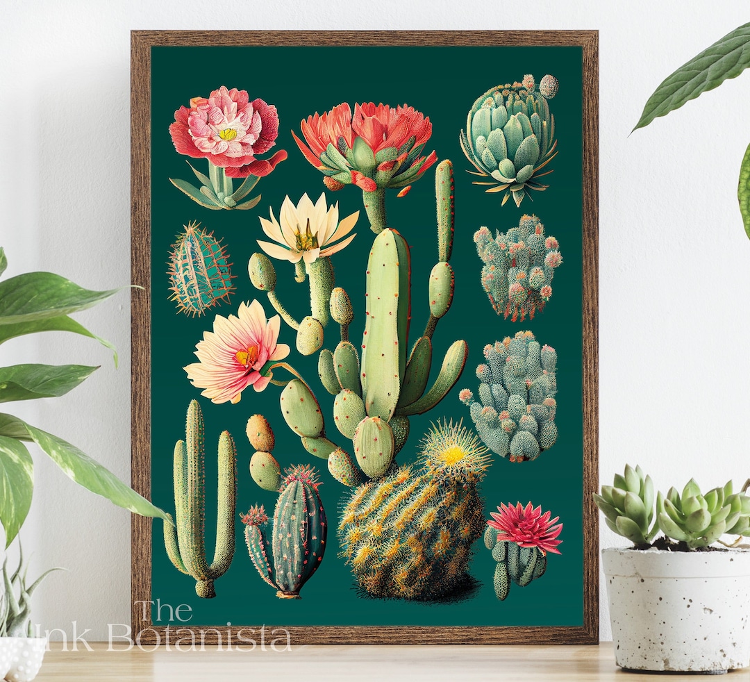 Cactus Chart Print, Cacti Poster, Botanical Poster, Succulent Wall Art ...