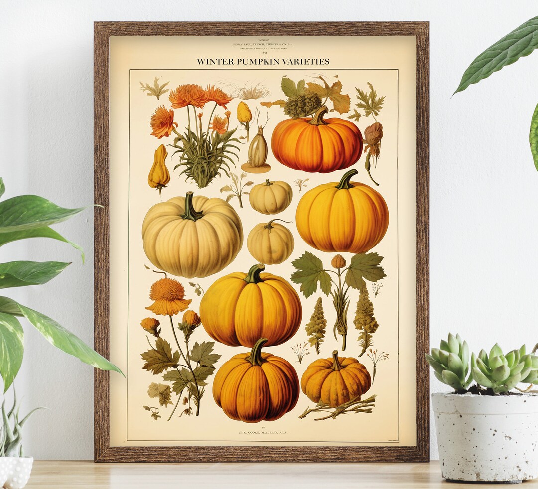 Pumpkin Chart Print, Vintage Kitchen Poster, Halloween Wall Art, Witchy ...