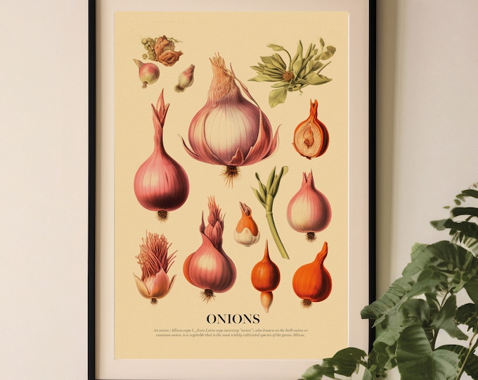 Onion Painting Original Art, Vegetable Oil Painting, Kitchen Decor ...