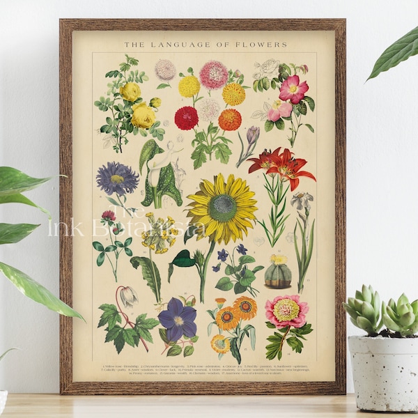 Poster Flower - Etsy