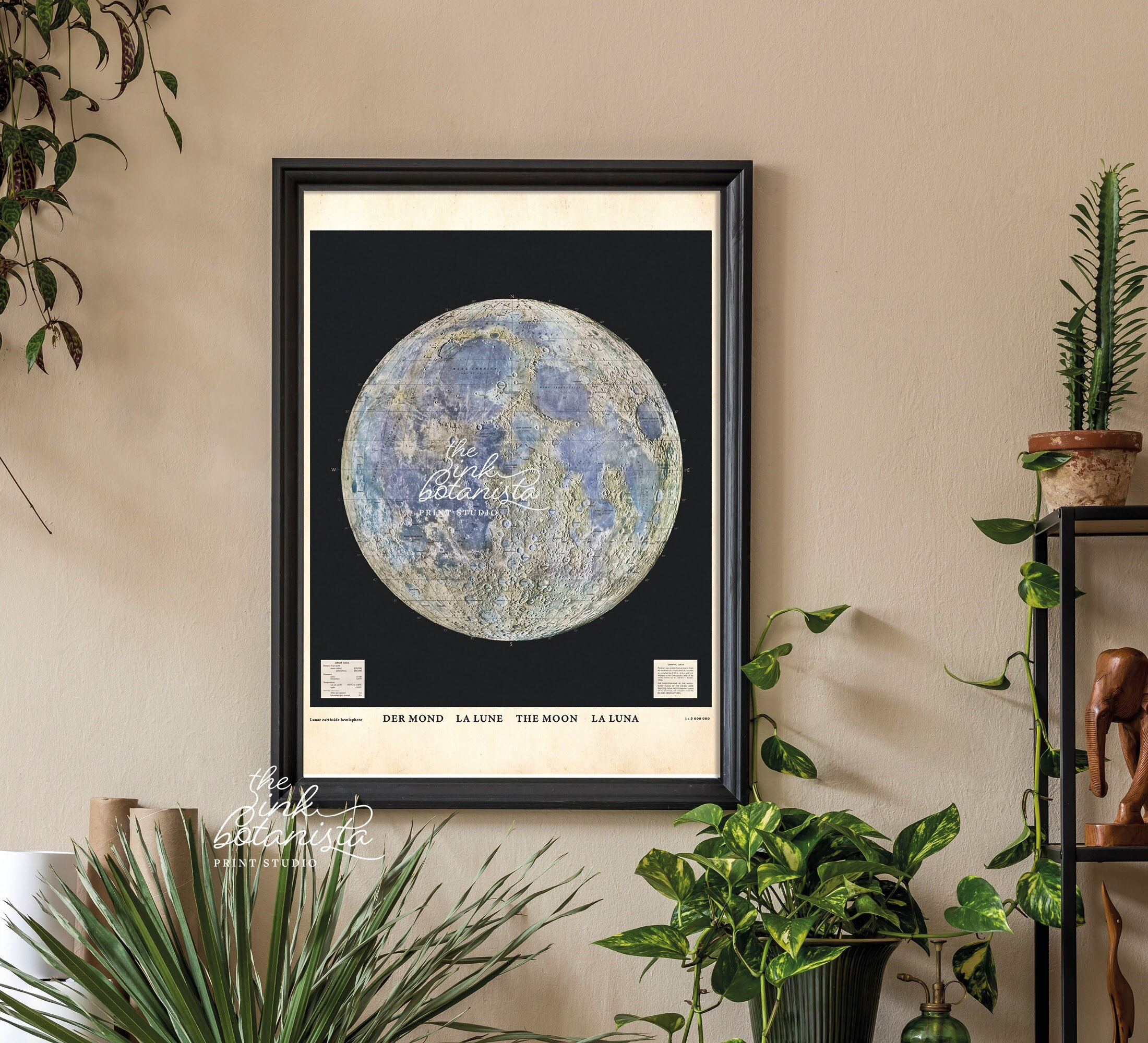 Vintage Moon Print, Full Moon Poster, Astrology Poster, Study Wall Art ... Vintage Moon Print, Full Moon Poster, Astrology Poster, Study Wall Art ...