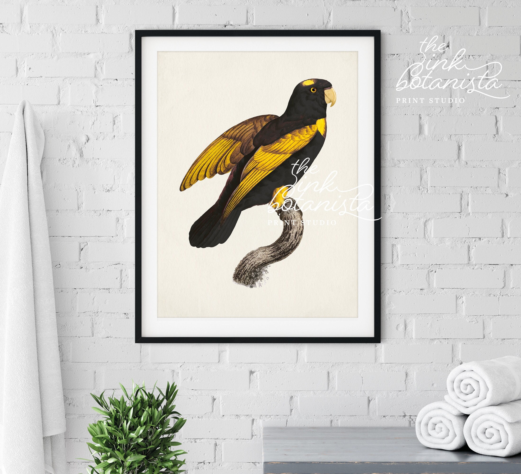 Parrot Botanical Poster Print, Vintage Style Wall Art, Antique Style ...