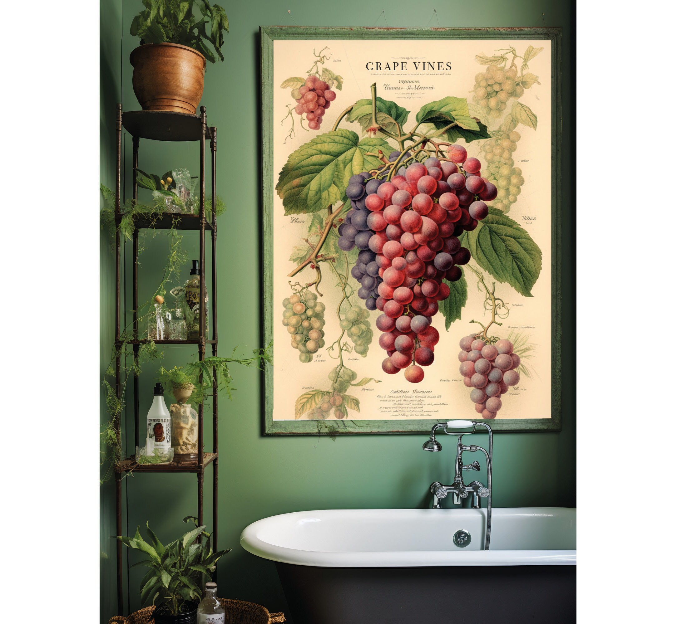 Vintage Grapes Print Wine Chart Poster Botanical Plate - Etsy