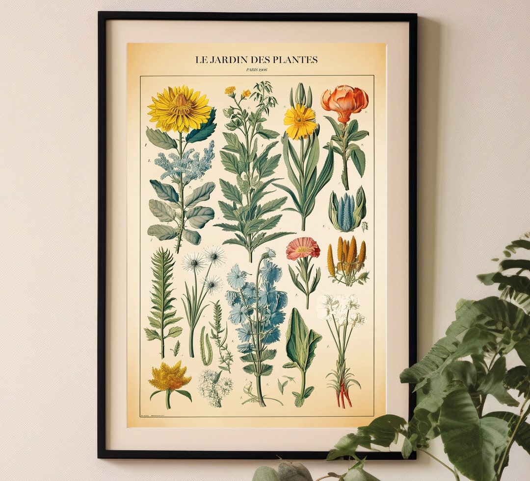 Vintage Plants Chart Print, Kitchen Chart Poster, Botanical Book Plate ...
