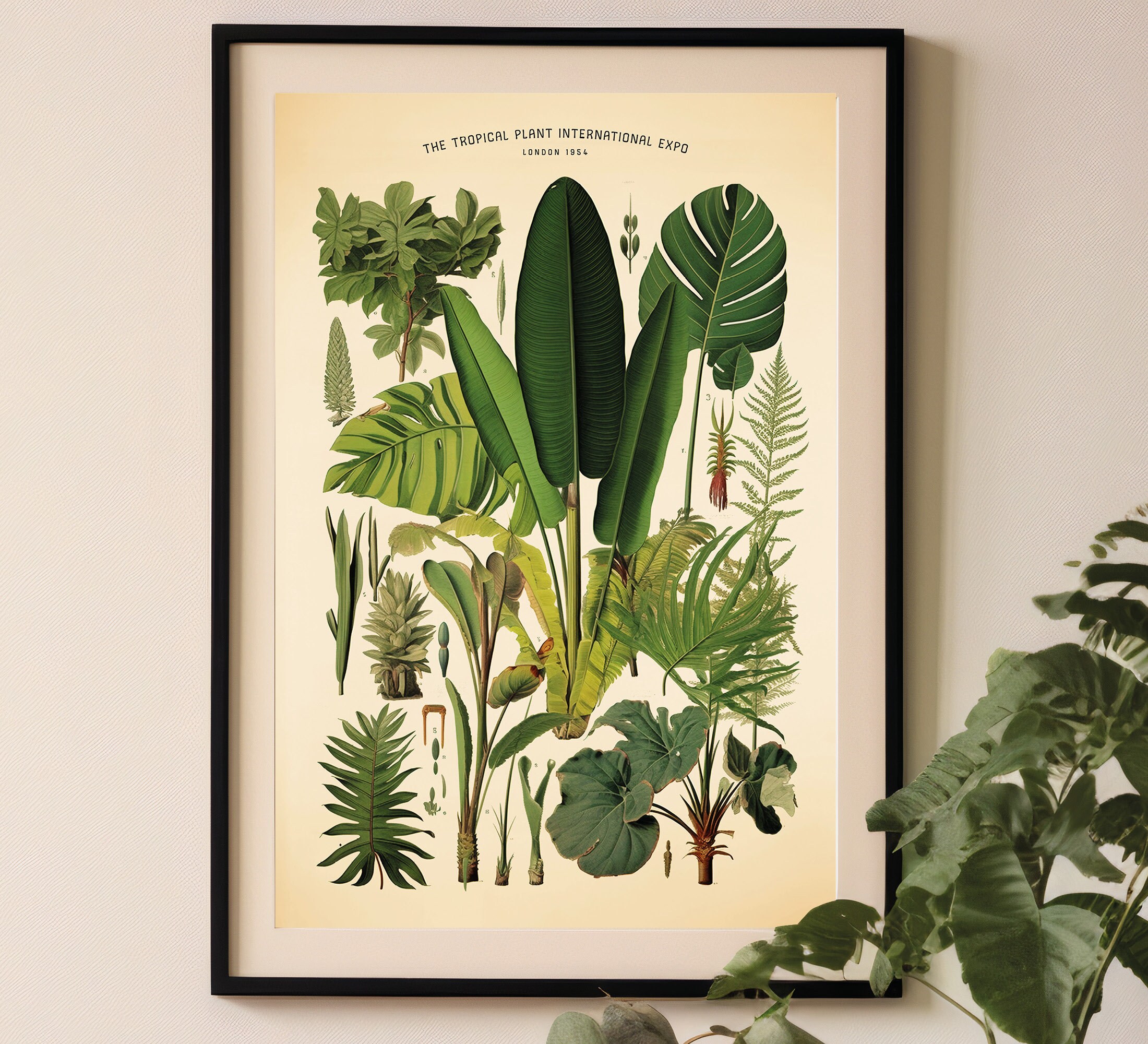 Tropical Plant Print, Palm Leaf Chart Print, Vintage Botanical Chart ...