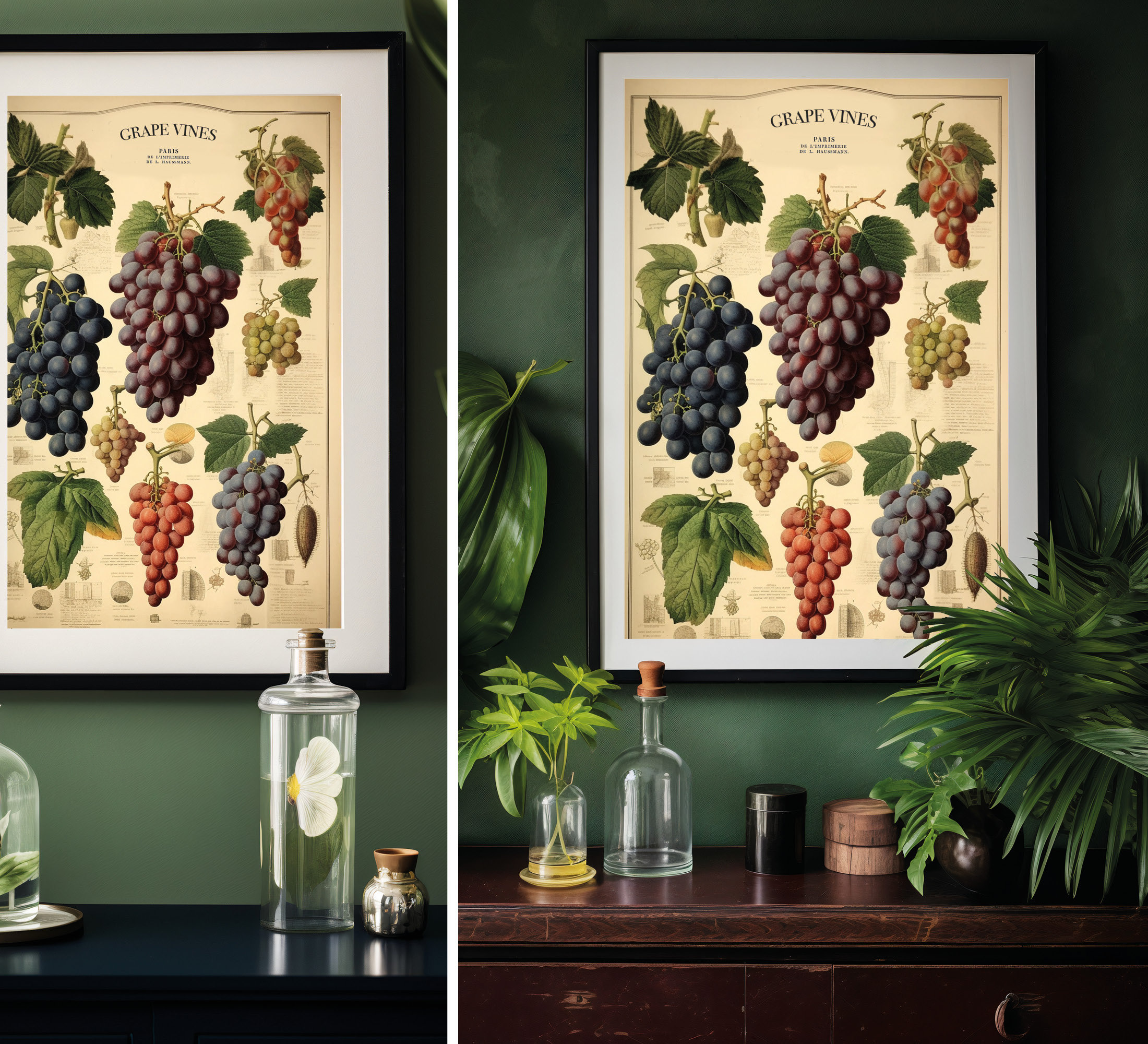 Vintage Grapes Print, Wine Chart Poster, Botanical Book Plate Decor ...