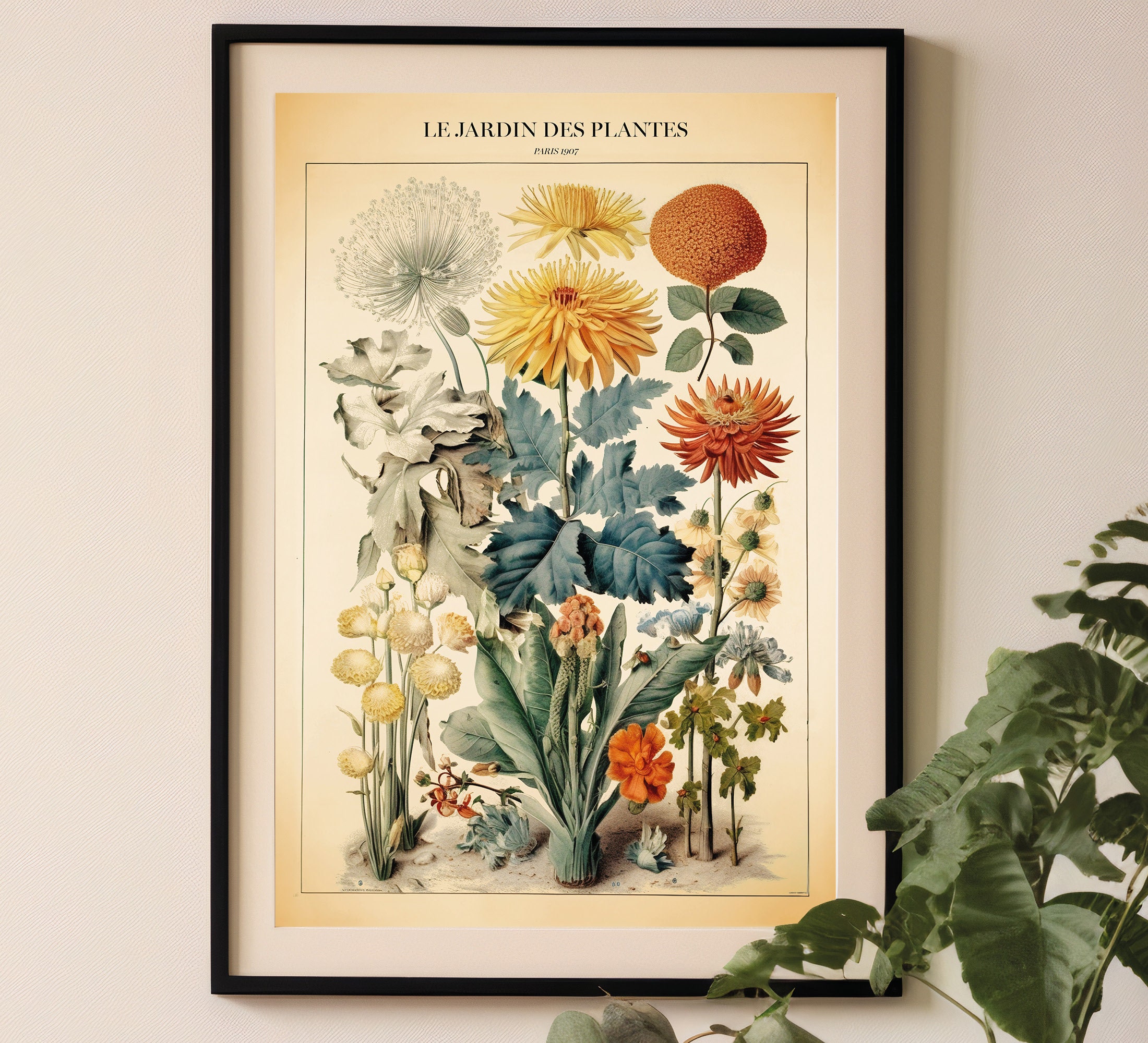 Vintage Plants Chart Print, Kitchen Chart Poster, Botanical Book Plate ...