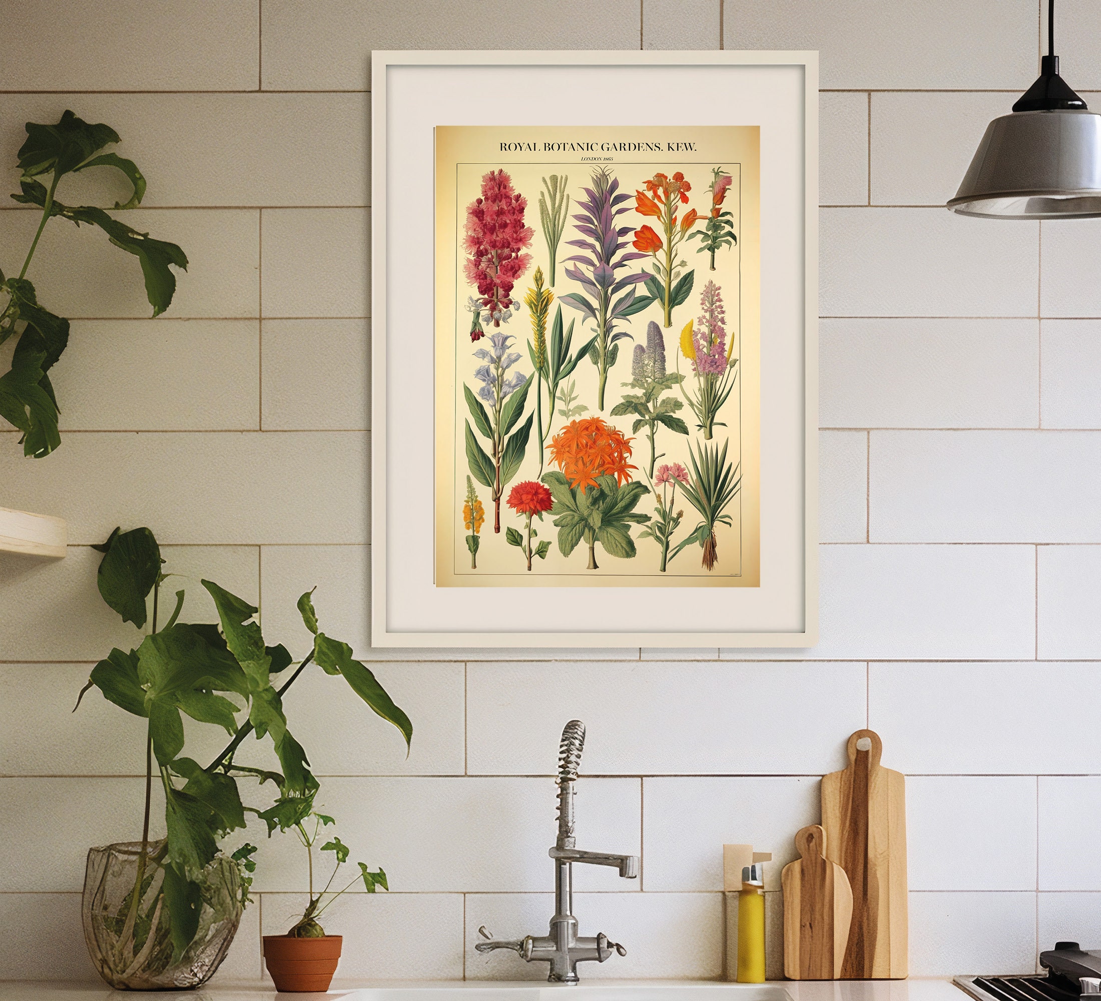 Vintage Plants Chart Print, Kitchen Chart Poster, Botanical Book Plate ...