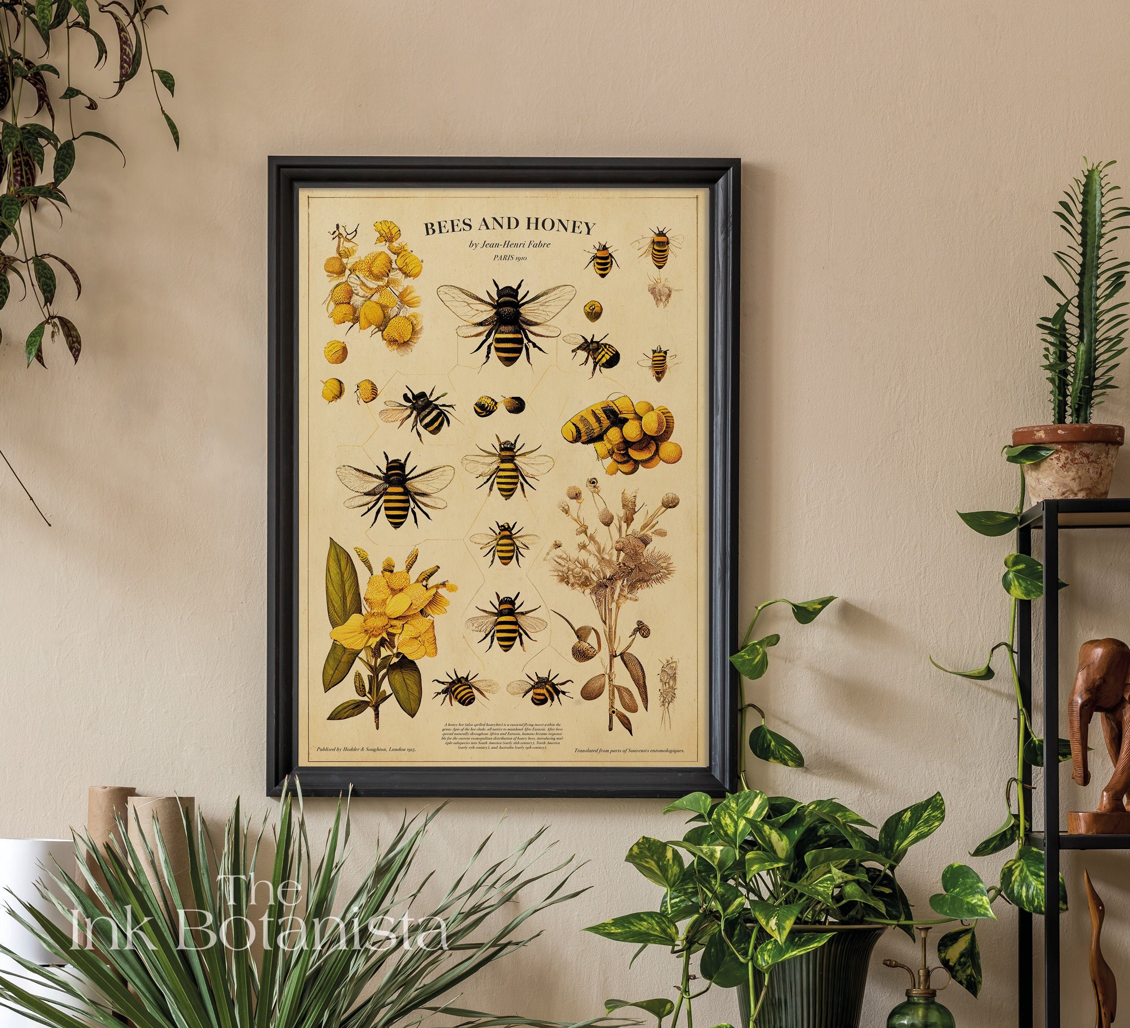 Bees Chart Print, Bees Poster, Bee Illustration, Bee Types Print, Bees ...