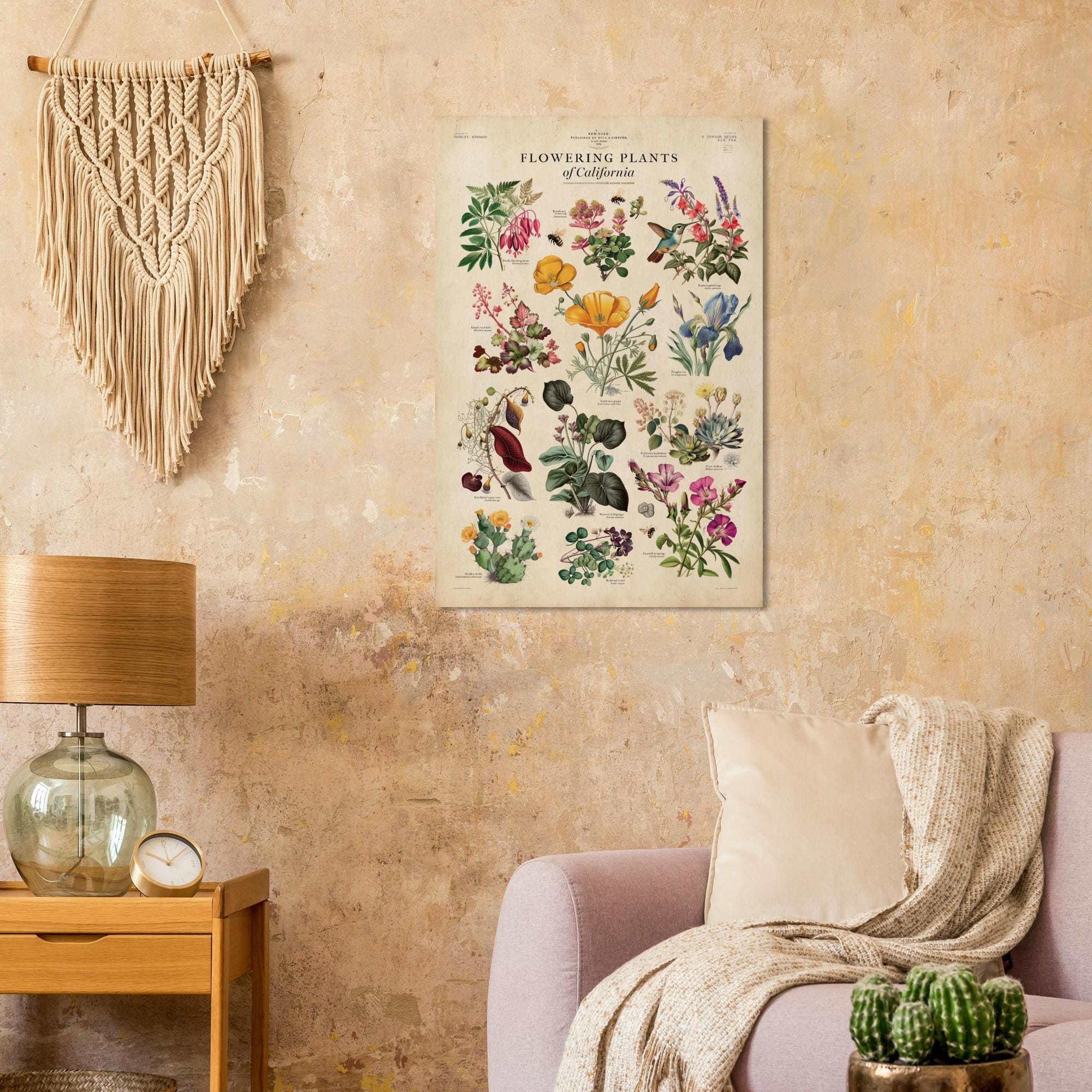 Flowering Plants of California, Vintage Botanical Chart Poster - Etsy