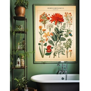 Vintage Botanical Print: Amsterdam Plant Chart Poster - Etsy