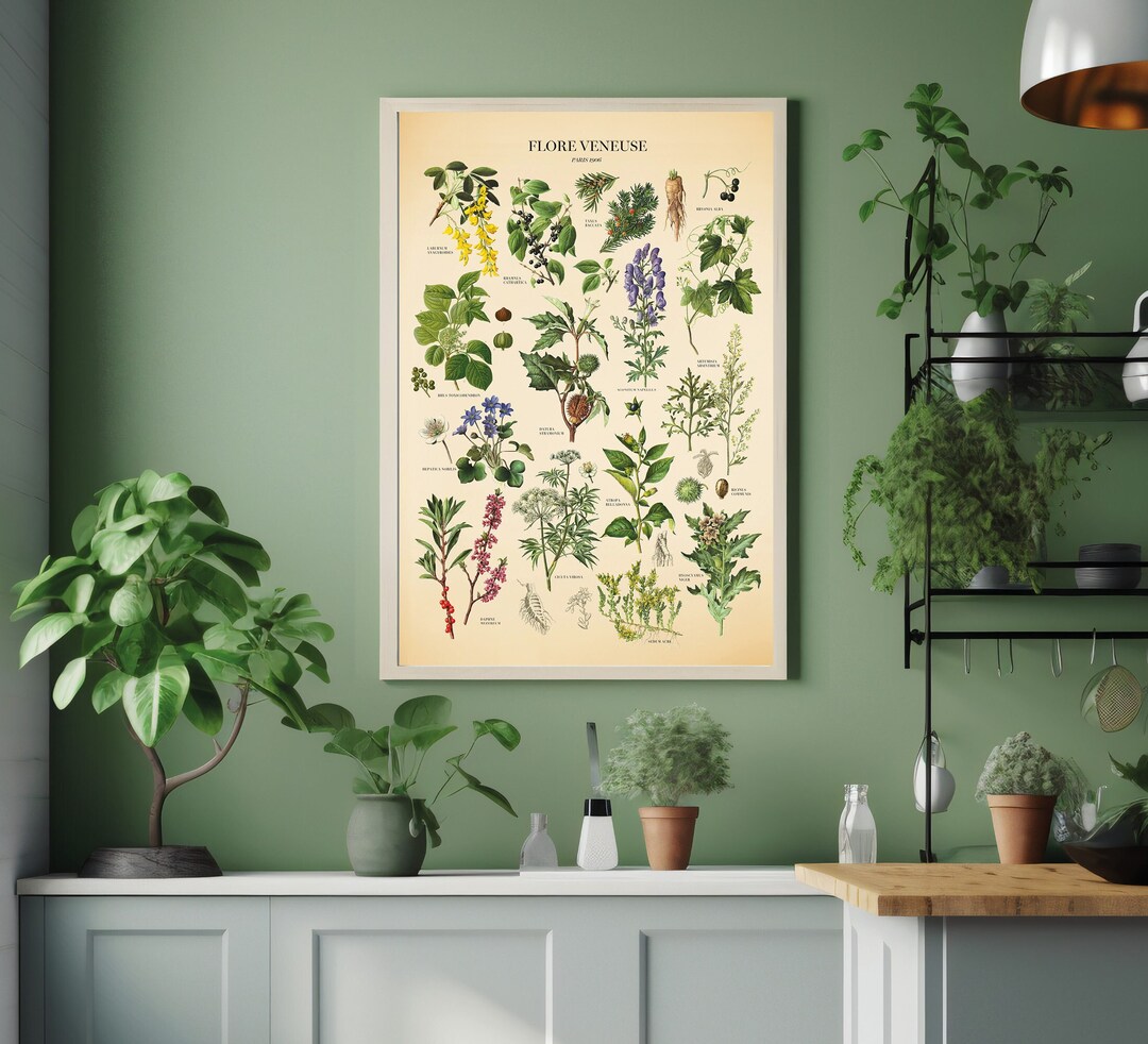 Poisonous Plants Print, Herbs Chart Poster, Toxic Plant Types Print ...