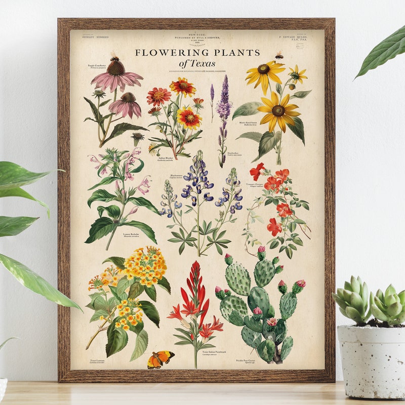 Texas Poster - Etsy