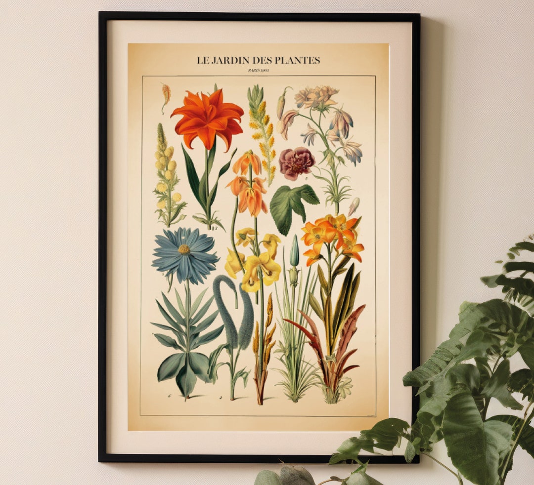 Vintage Plants Chart Print, Kitchen Chart Poster, Botanical Book Plate ...