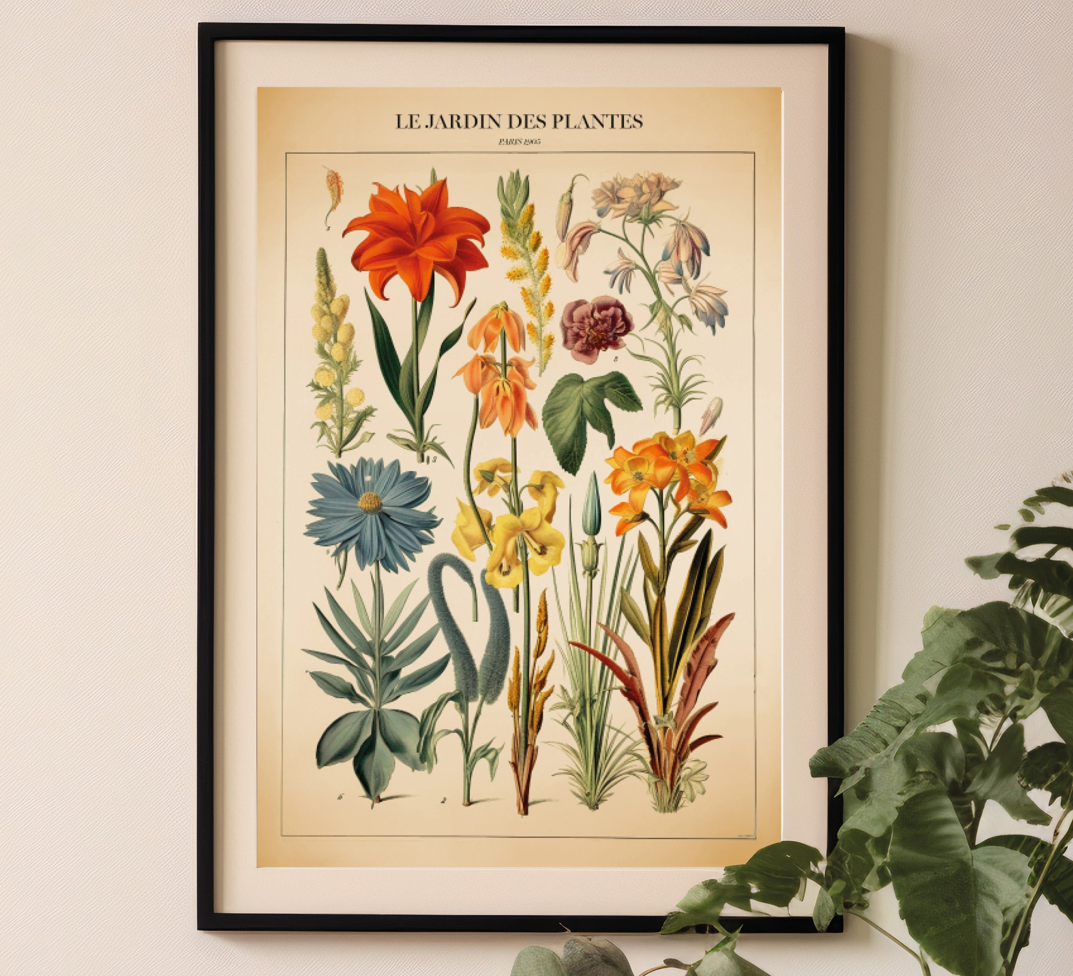 Vintage Plants Chart Print, Kitchen Chart Poster, Botanical Book Plate ...