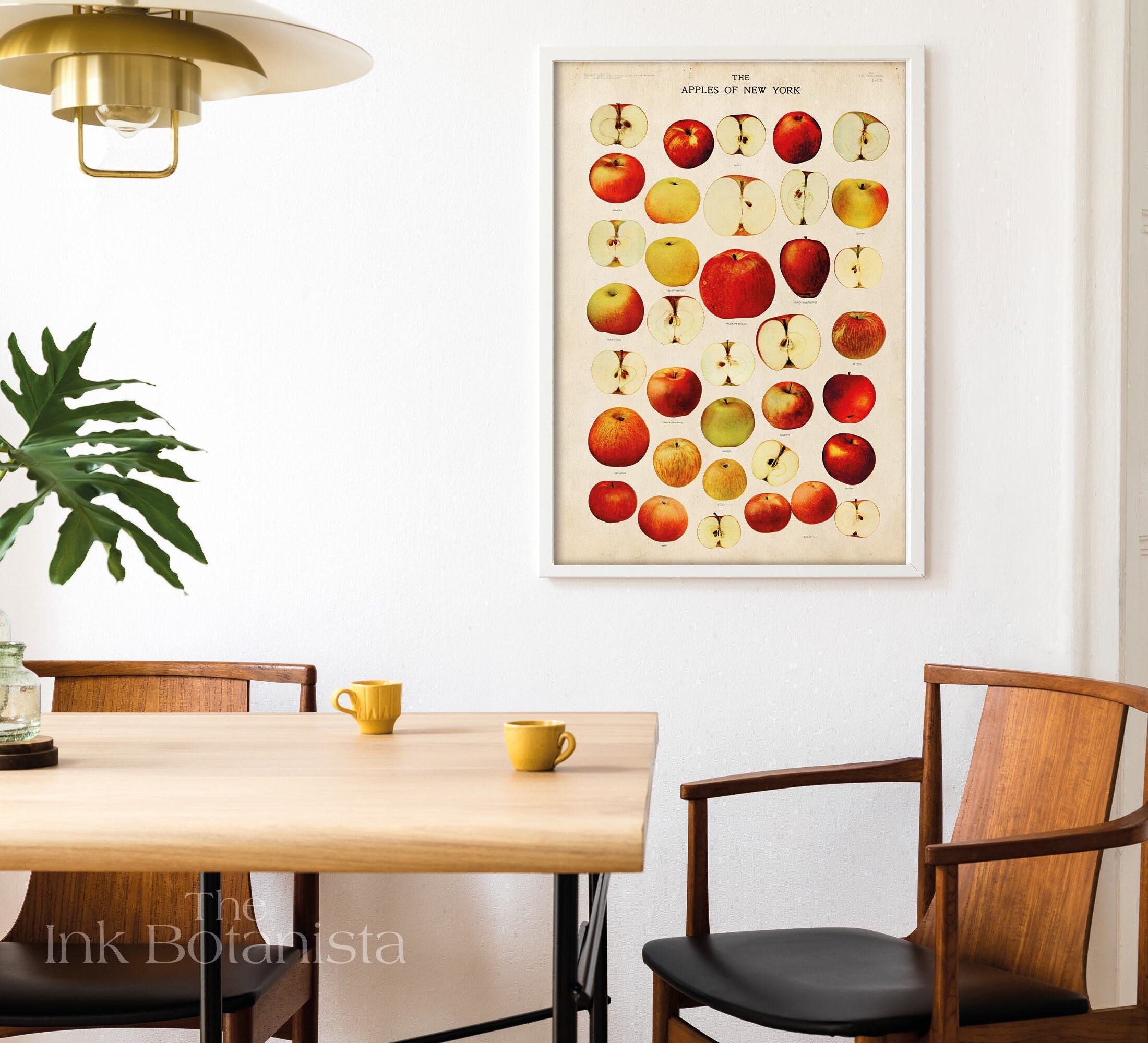 Vintage Apples of New York Chart, Kitchen Print Fruits, Botanical ...