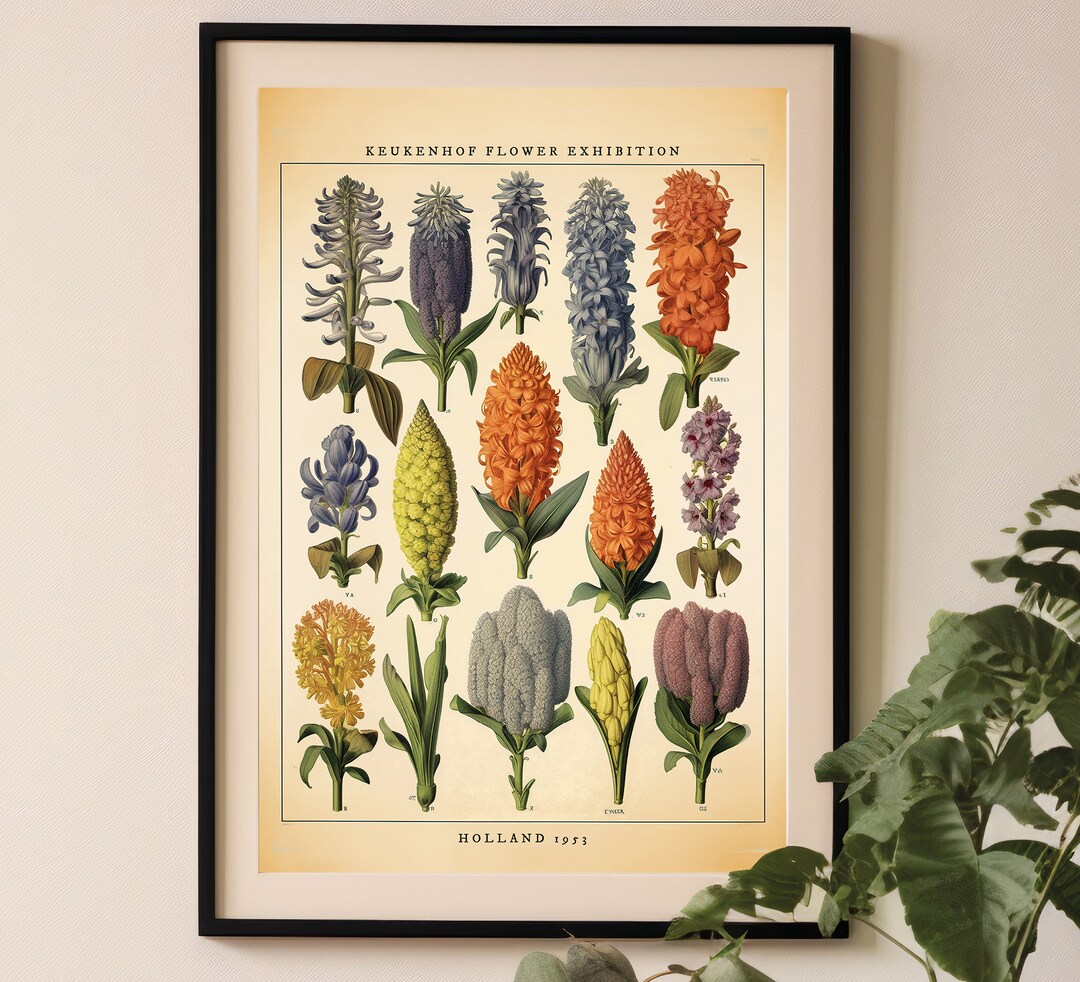 Vintage Plant Chart, Old Botanical Print, Mid Century Poster, 1950s ...