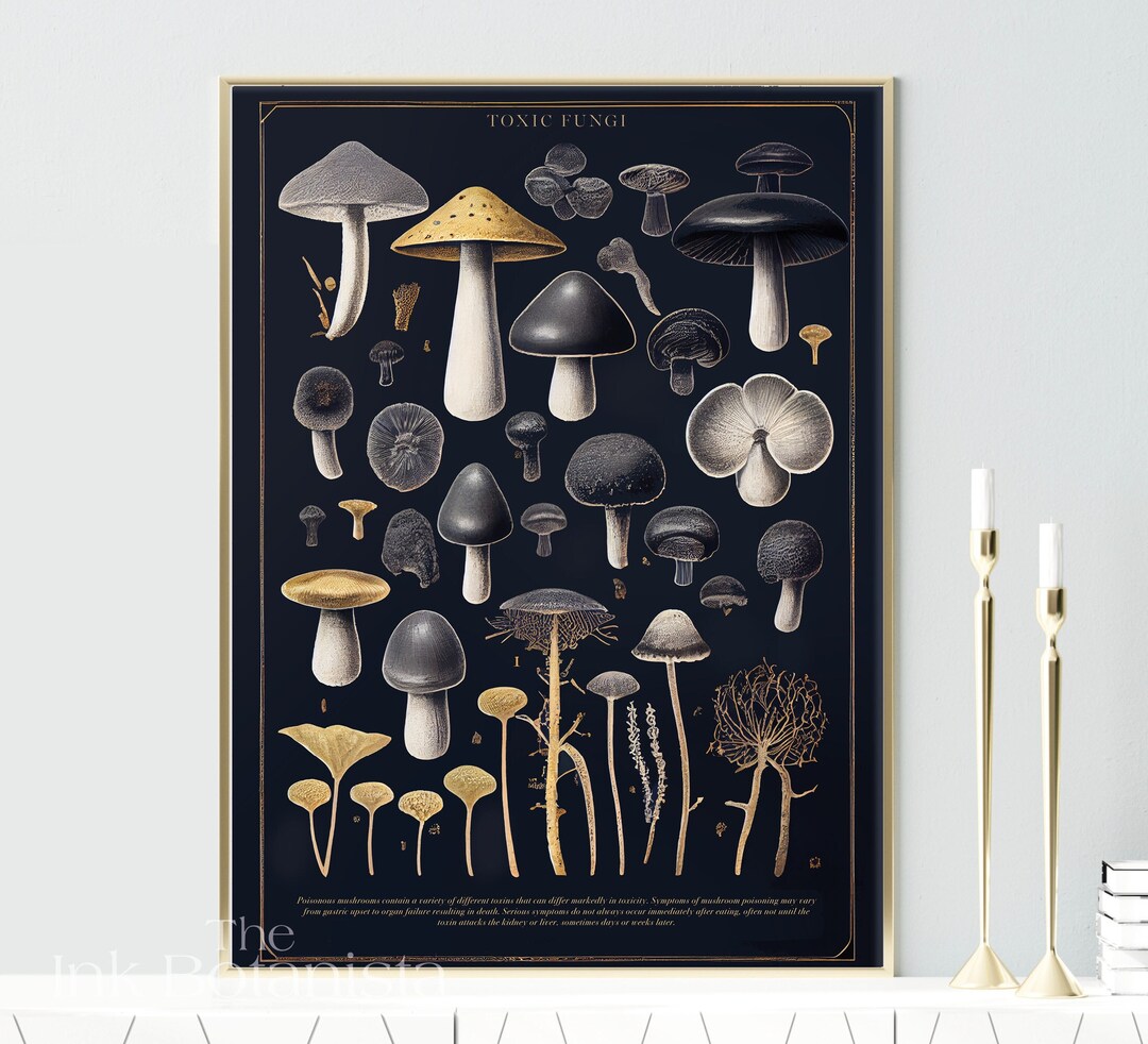 Vintage Style Mushroom Illustration Print, Poisonous Mushrooms Poster ...