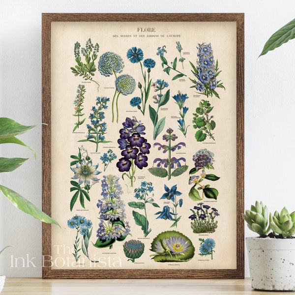 Botanical Poster - Etsy