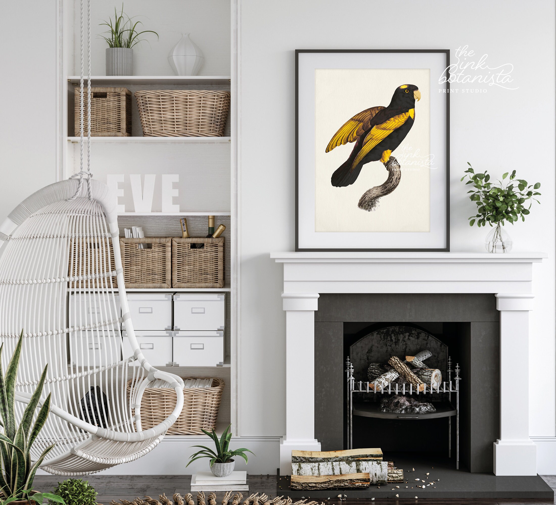 Parrot Botanical Poster Print, Vintage Style Wall Art, Antique Style ...