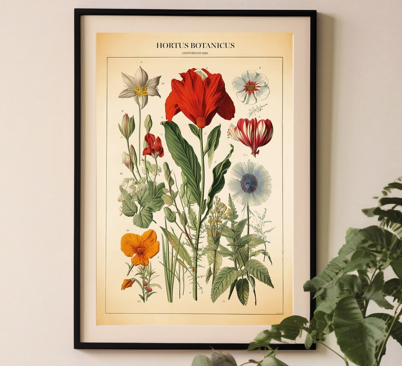 Amsterdam Botanical Print, Vintage Plant Chart, City Botanic Garden ...
