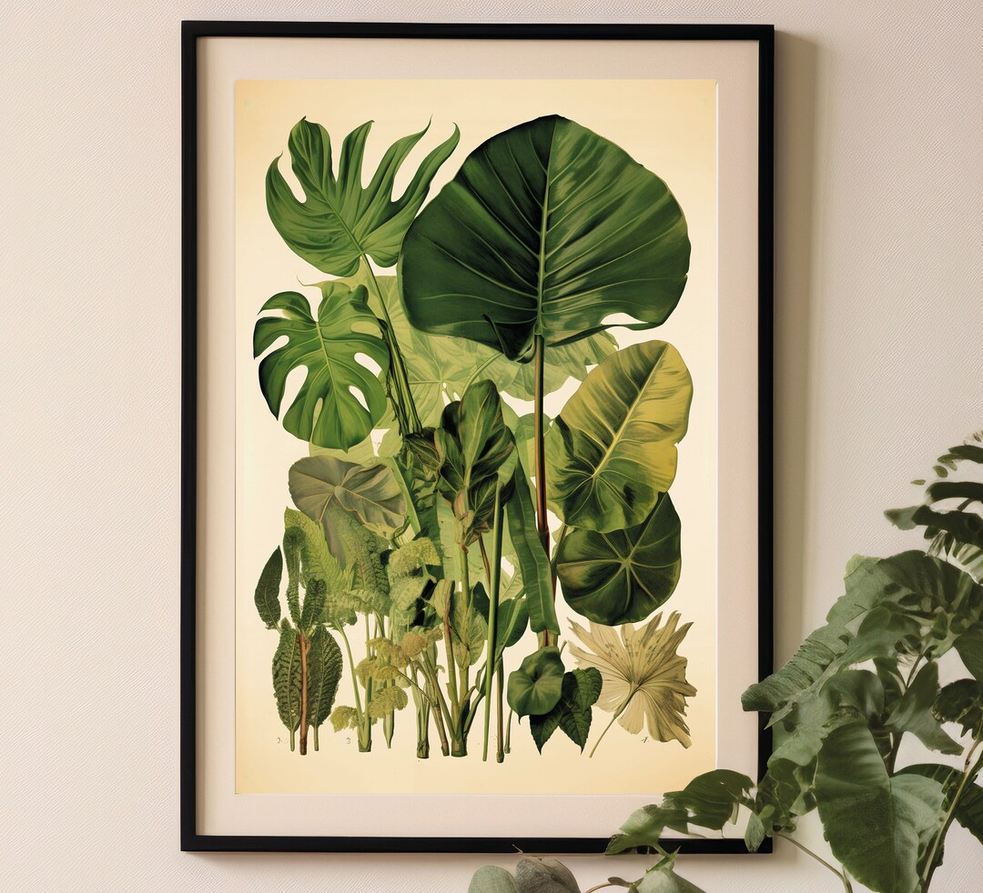 Tropical Plant Print, Palm Leaf Chart Print, Vintage Botanical Chart ...