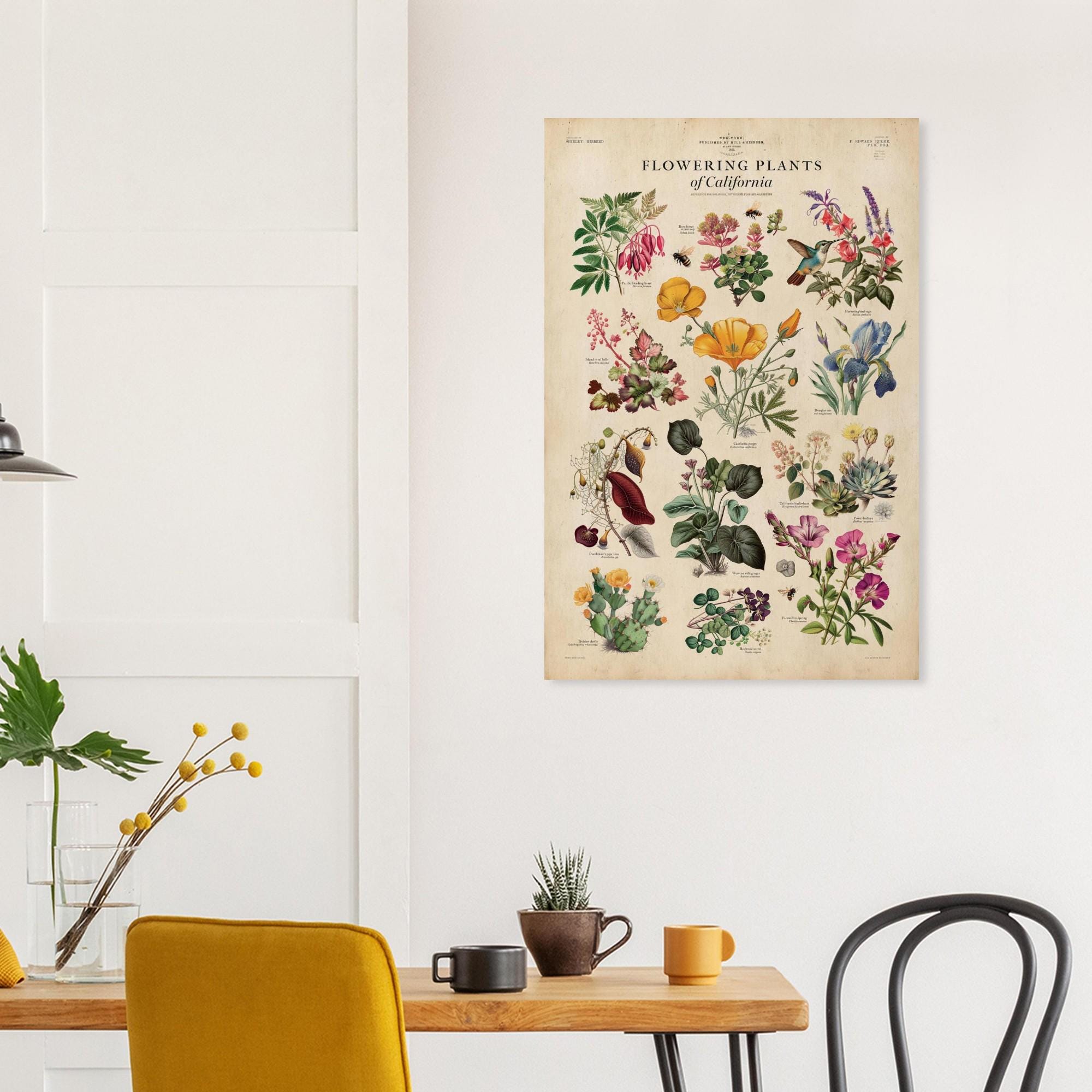 Flowering Plants of California, Vintage Botanical Chart Poster - Etsy