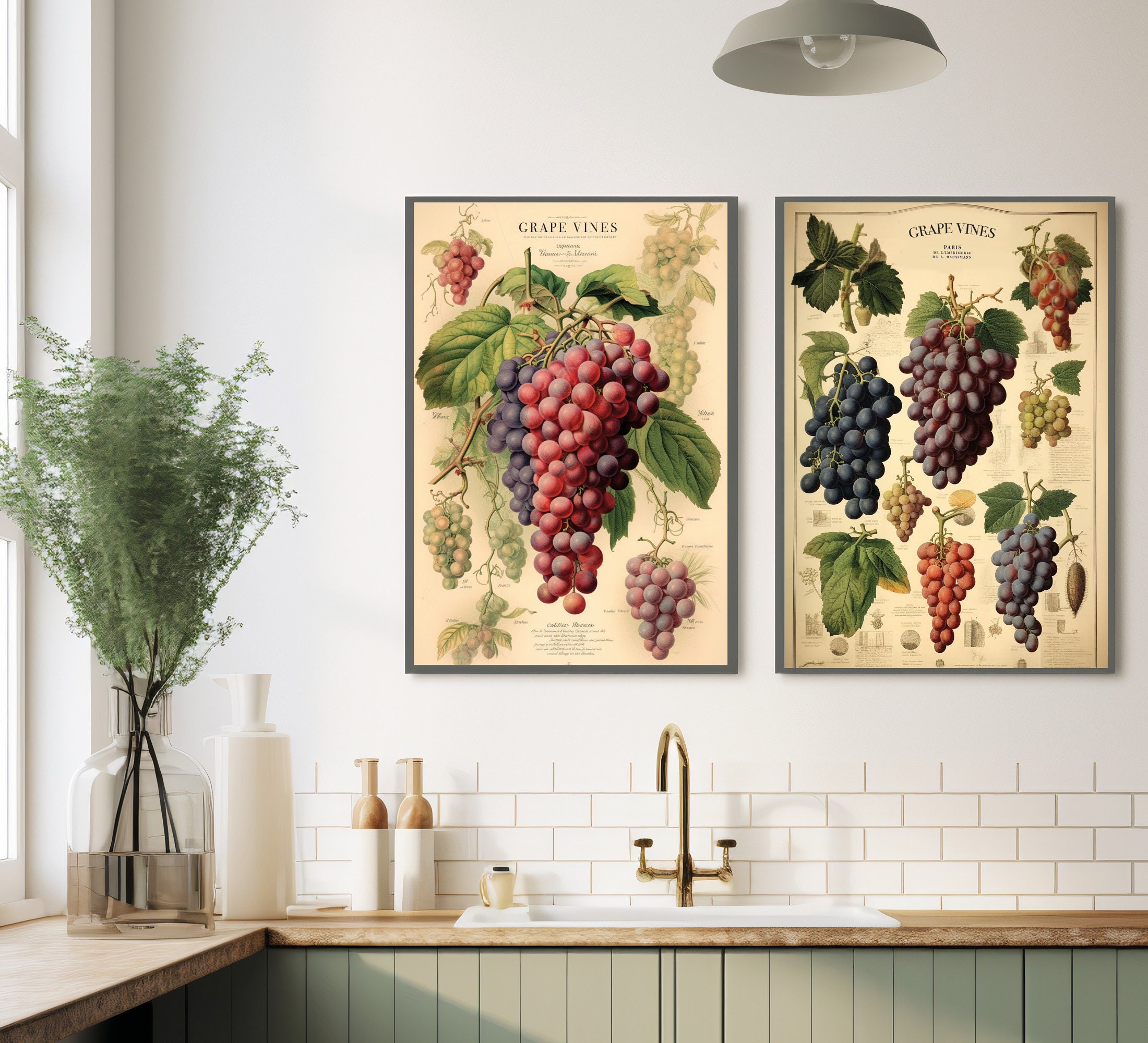 Vintage Grapes Print Wine Chart Poster Botanical Plate - Etsy