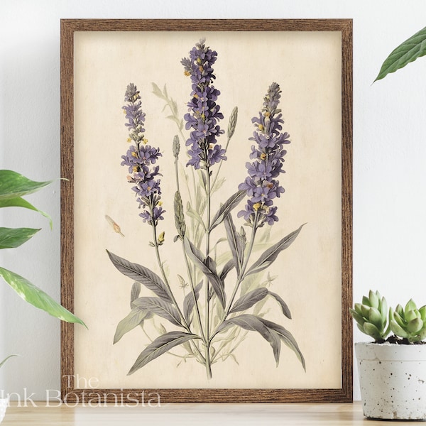 Lavender Print - Etsy