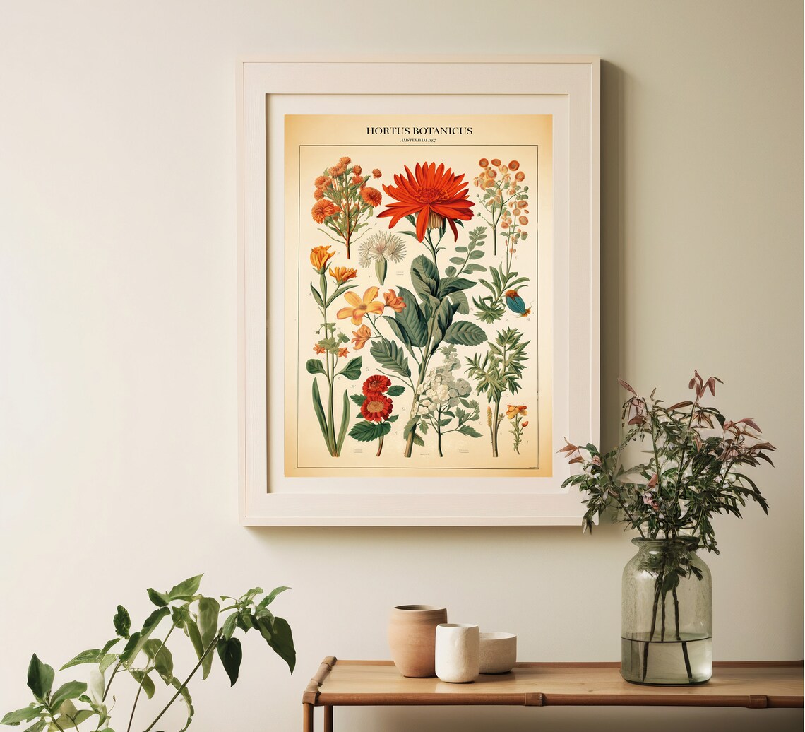 Vintage Botanical Print: Amsterdam Plant Chart Poster - Etsy