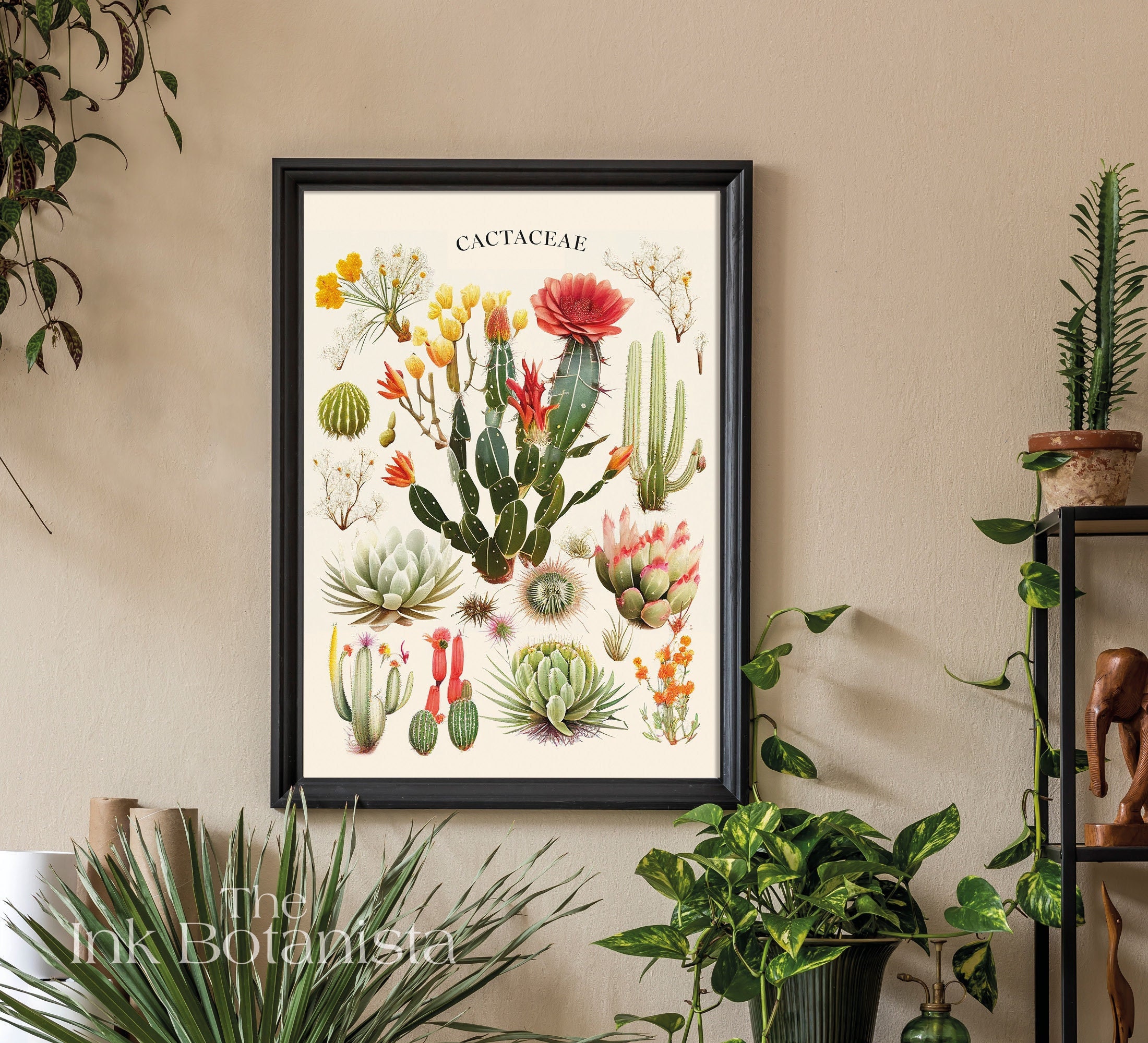 Vintage Cactus Print, Cacti Poster, Botanical Poster, Succulent Wall Art, Cactus Types Chart ...