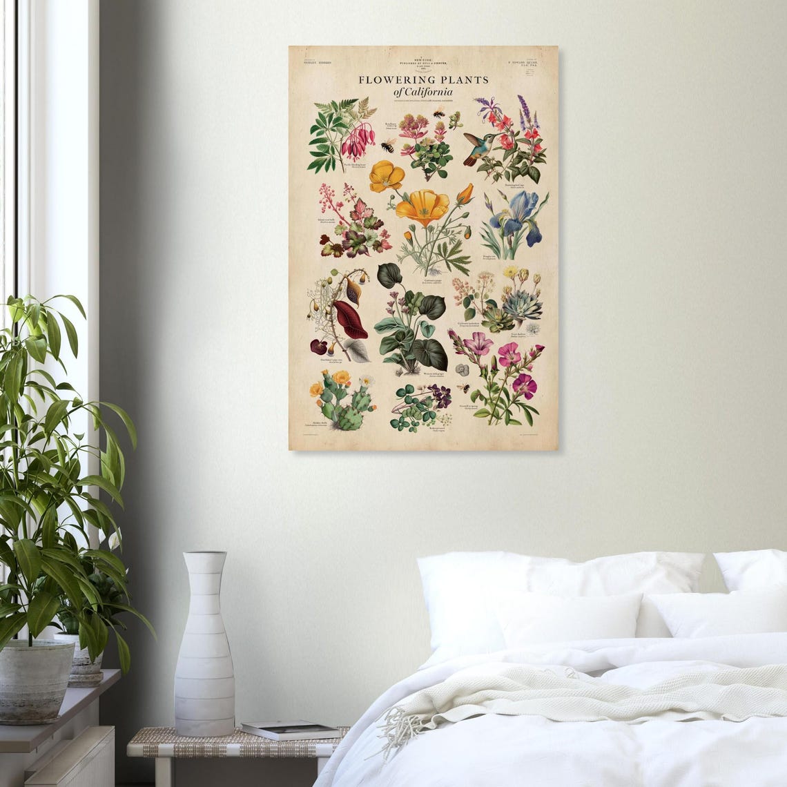 Flowering Plants of California, Vintage Botanical Chart Poster - Etsy