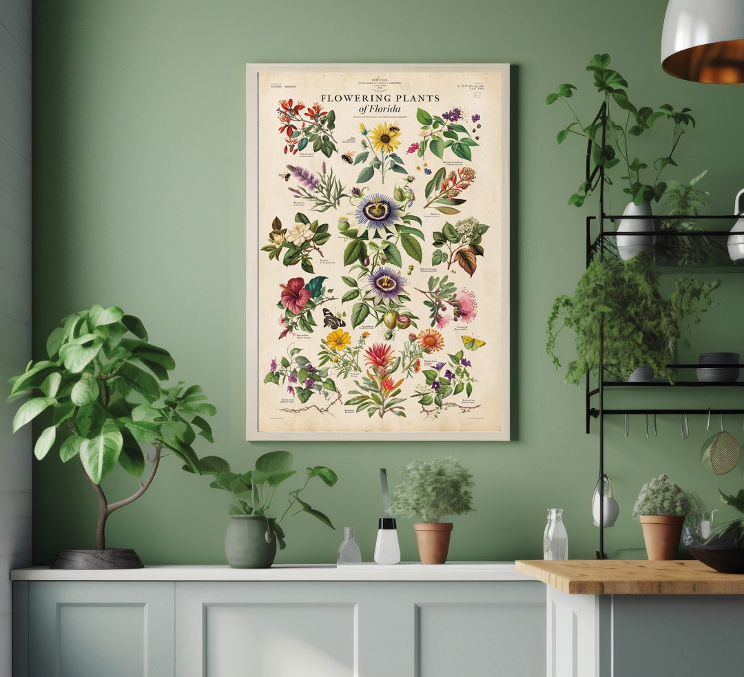 Florida Flowers Print: Vintage Botanical Chart Poster - Etsy