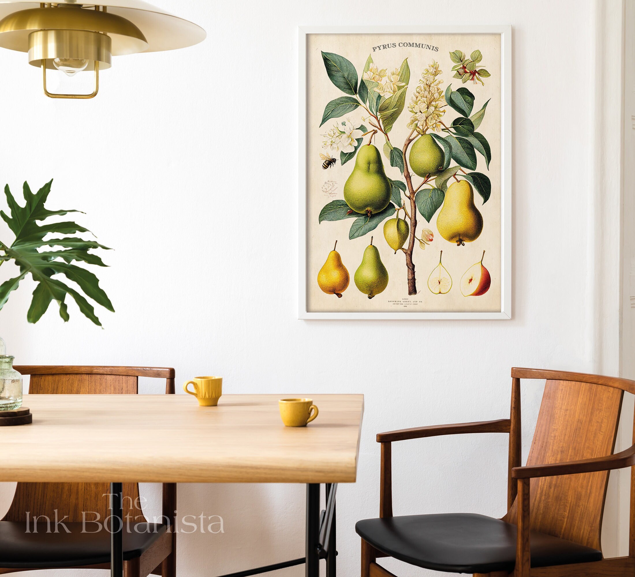 Vintage Pear Print, Fruit Poster, Botanical Poster, Kitchen Wall Art ...